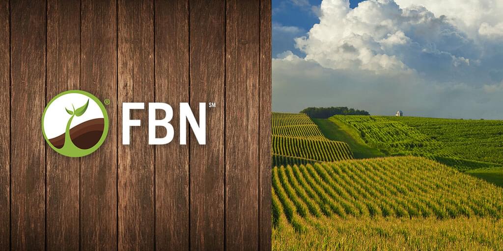 ASSAIL 70 WP Insecticide | FBN