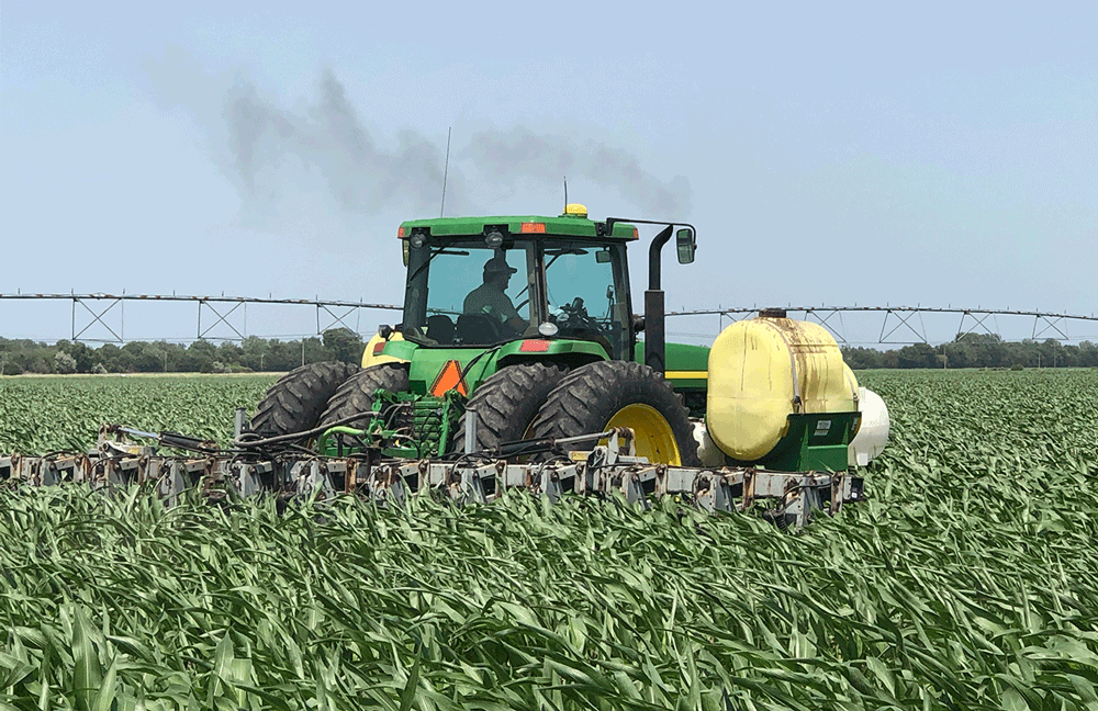 How Much Nitrogen Does Your Corn Need? | FBN