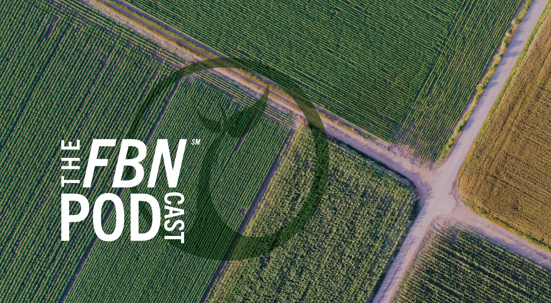 The FBN Podcast 🎧 | FBN