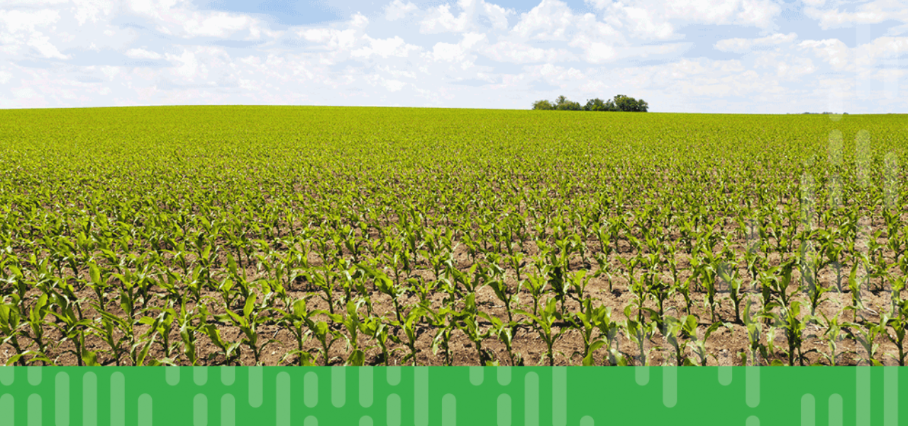 How to Develop an Integrated Pest Management Plan | FBN