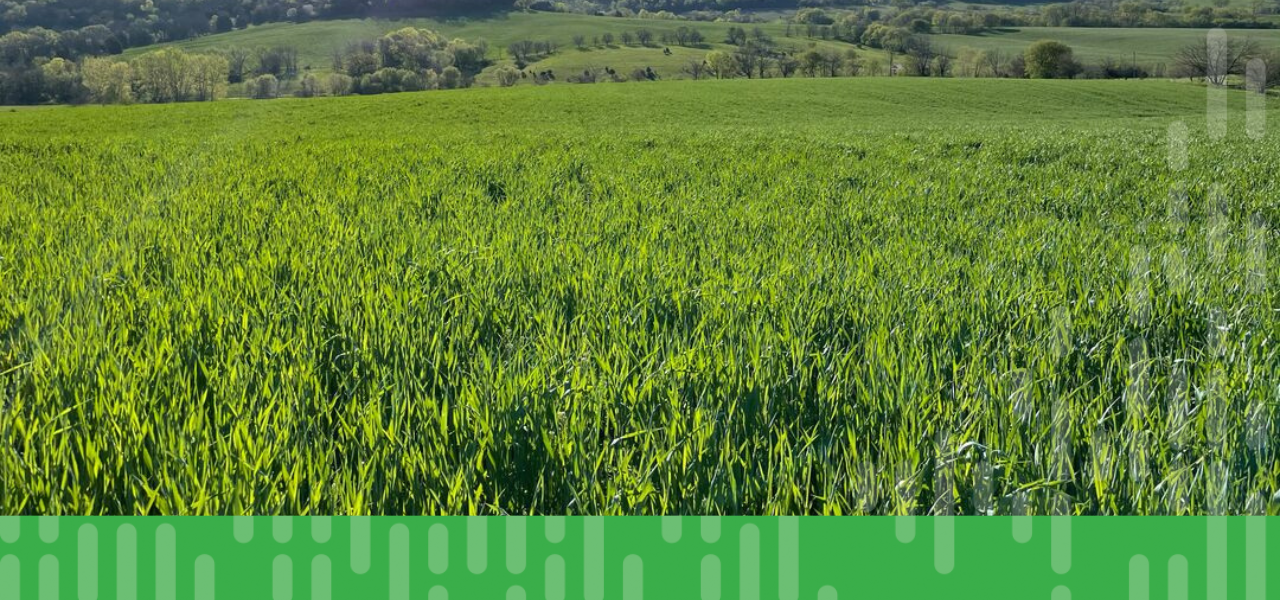 3 Tips for Cover Crop Success | FBN