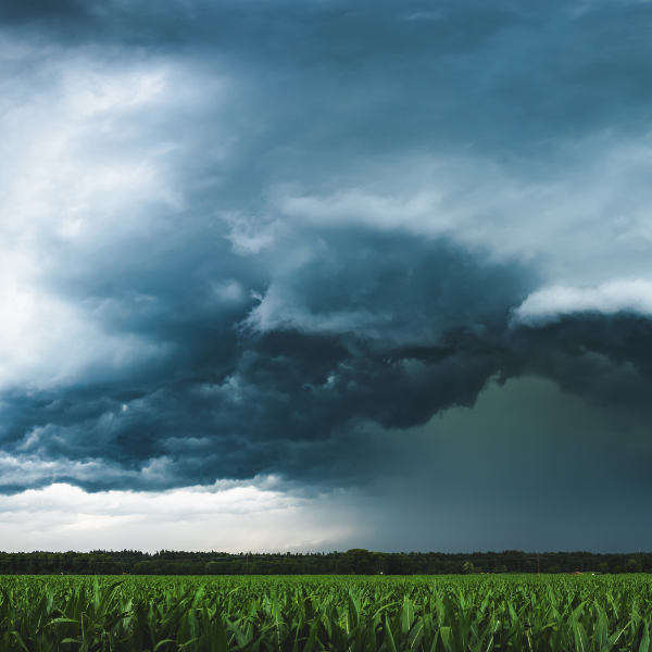 How Will El Niño Impact U.S. Farmers This Year? | FBN