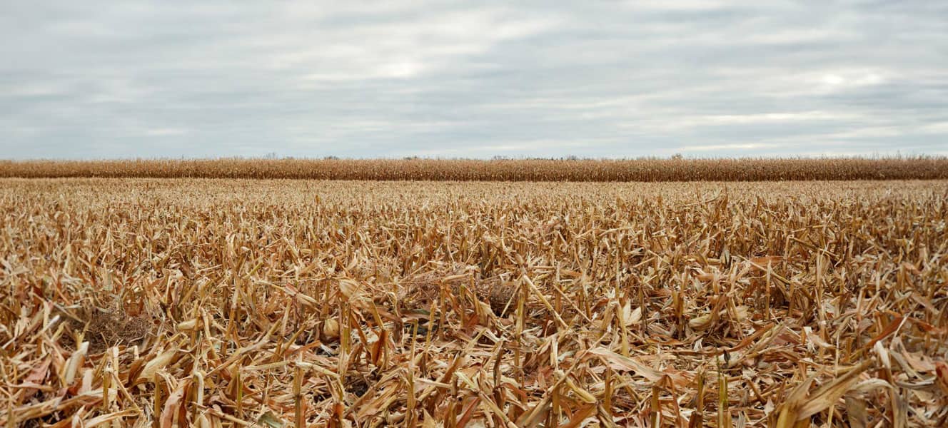 4 Tips to Plan and Execute a Successful Fall Burndown Program | FBN