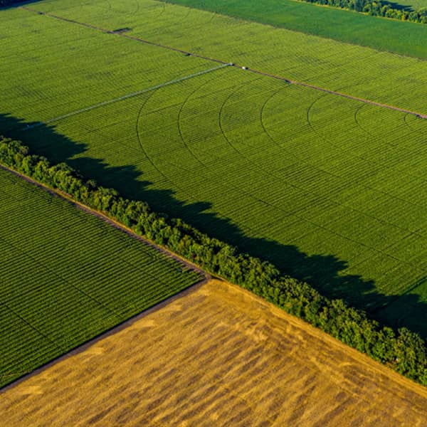 Running Your Own On-Farm Field Trials Guide | FBN