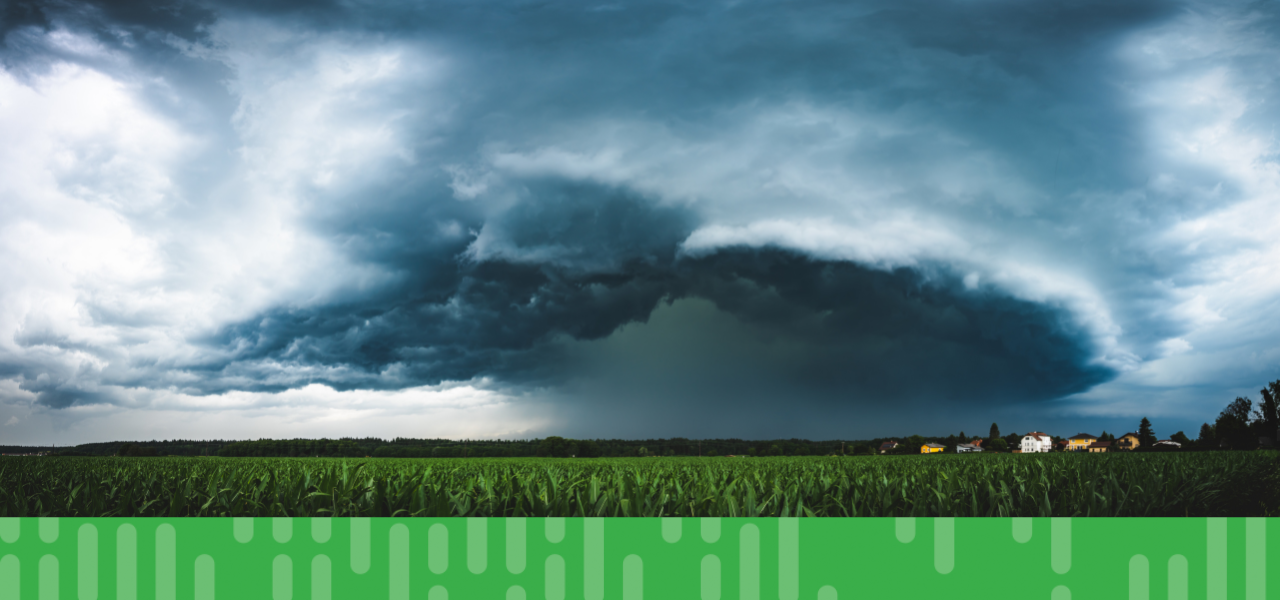 New Report: How Will El Niño Impact U.S. Farmers This Season? | FBN