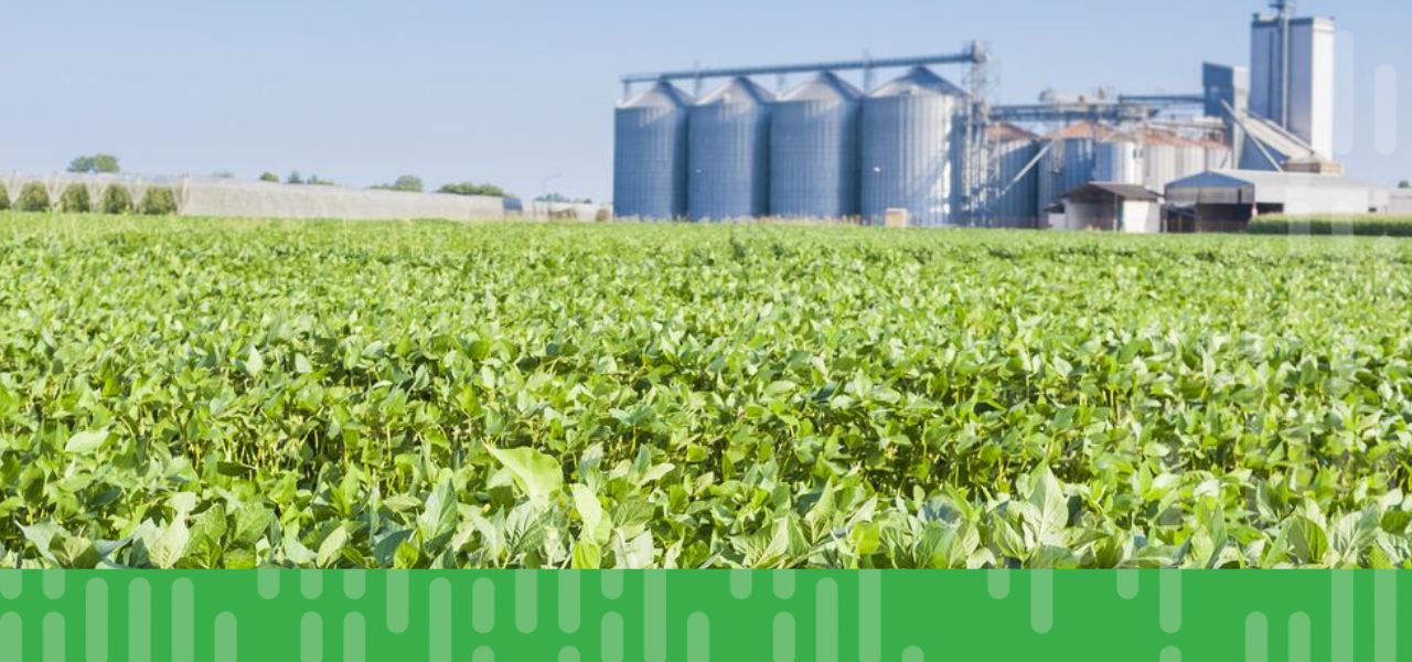 Lambda-Cyhalothrin 101: Everything Farmers Need to Know About Lambda ...