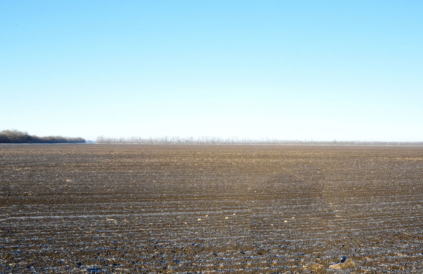 How to Assess Early-Season Frost Injury in Corn | FBN