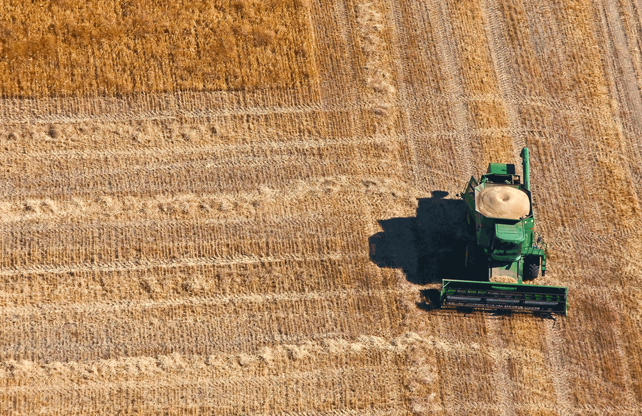 What Is Margin Protection Crop Insurance? | FBN
