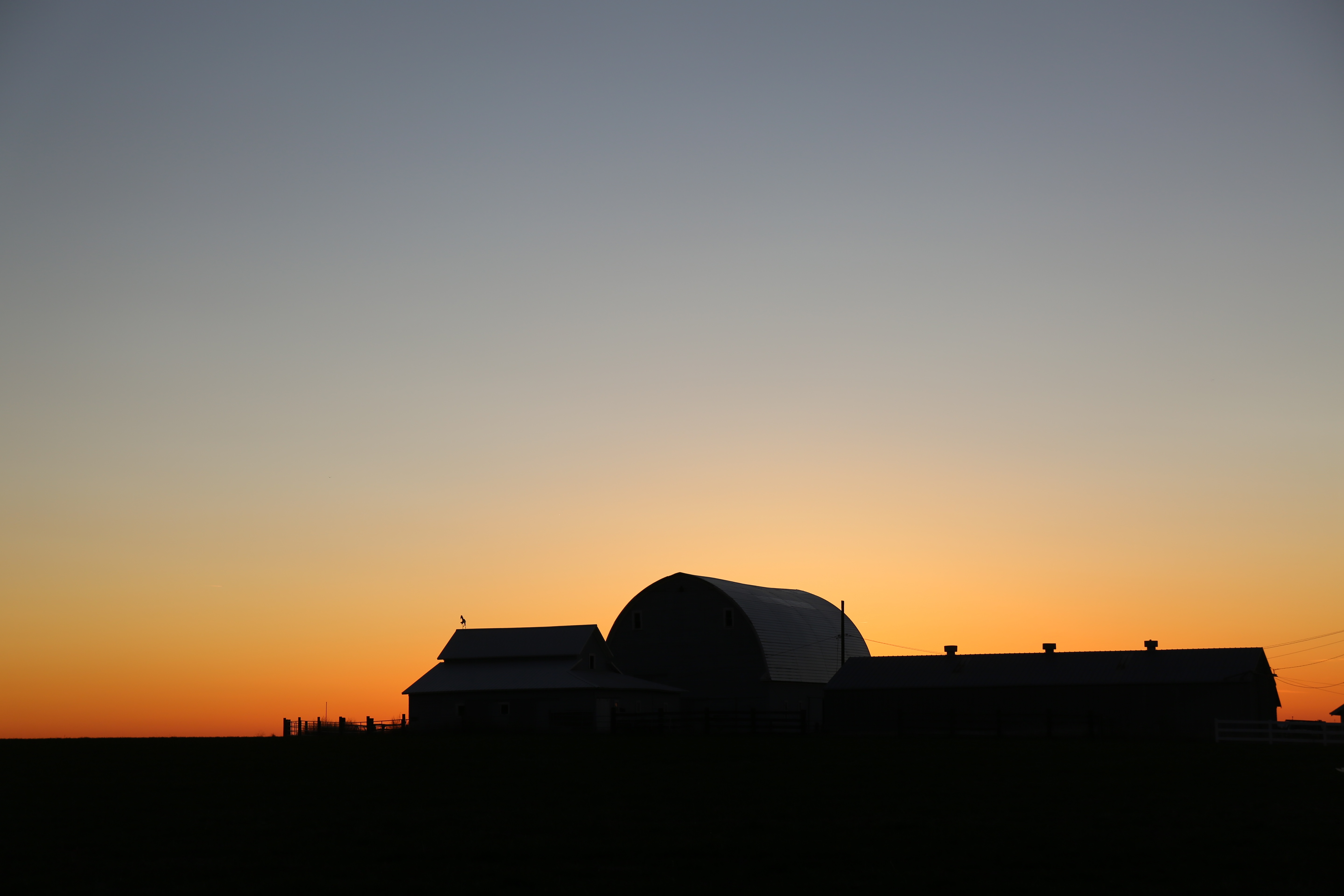 Data Transparency in Seed, Crop Marketing, and Insurance Can Help You ...