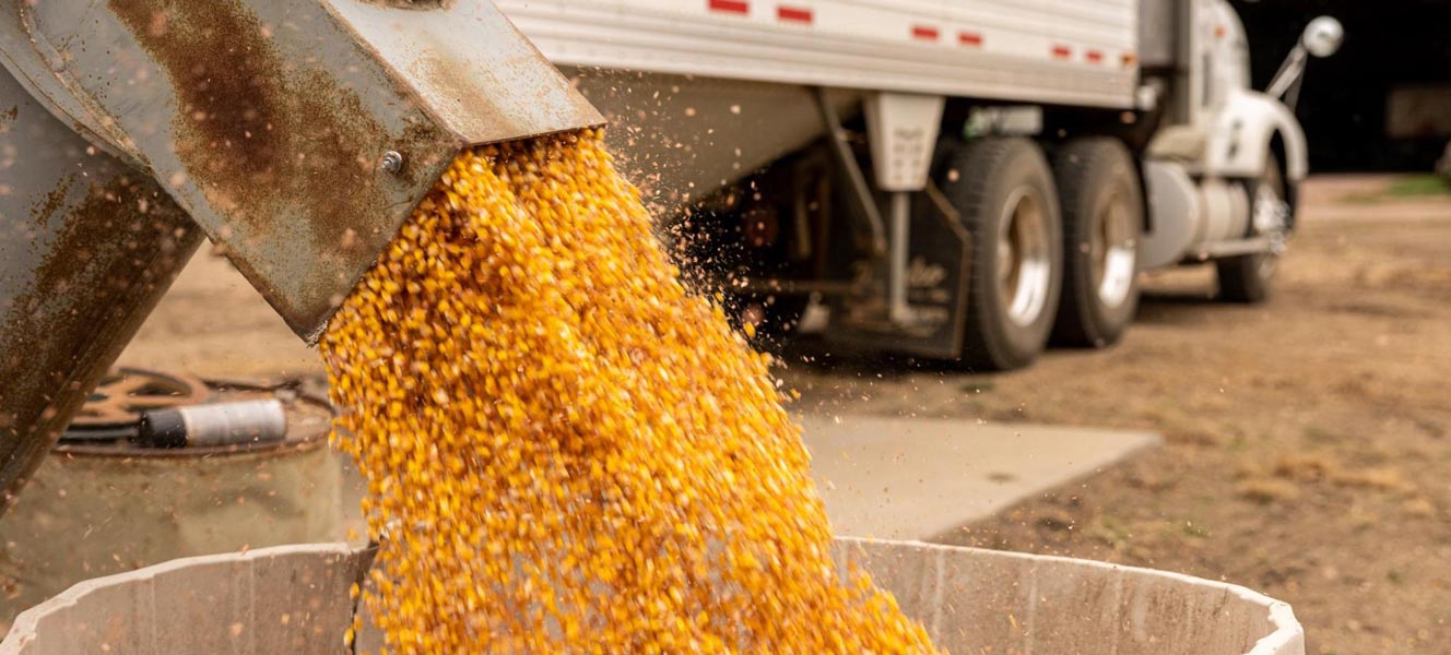 Harvest Safety: 8 Ways to Reduce Risks on the Farm | FBN
