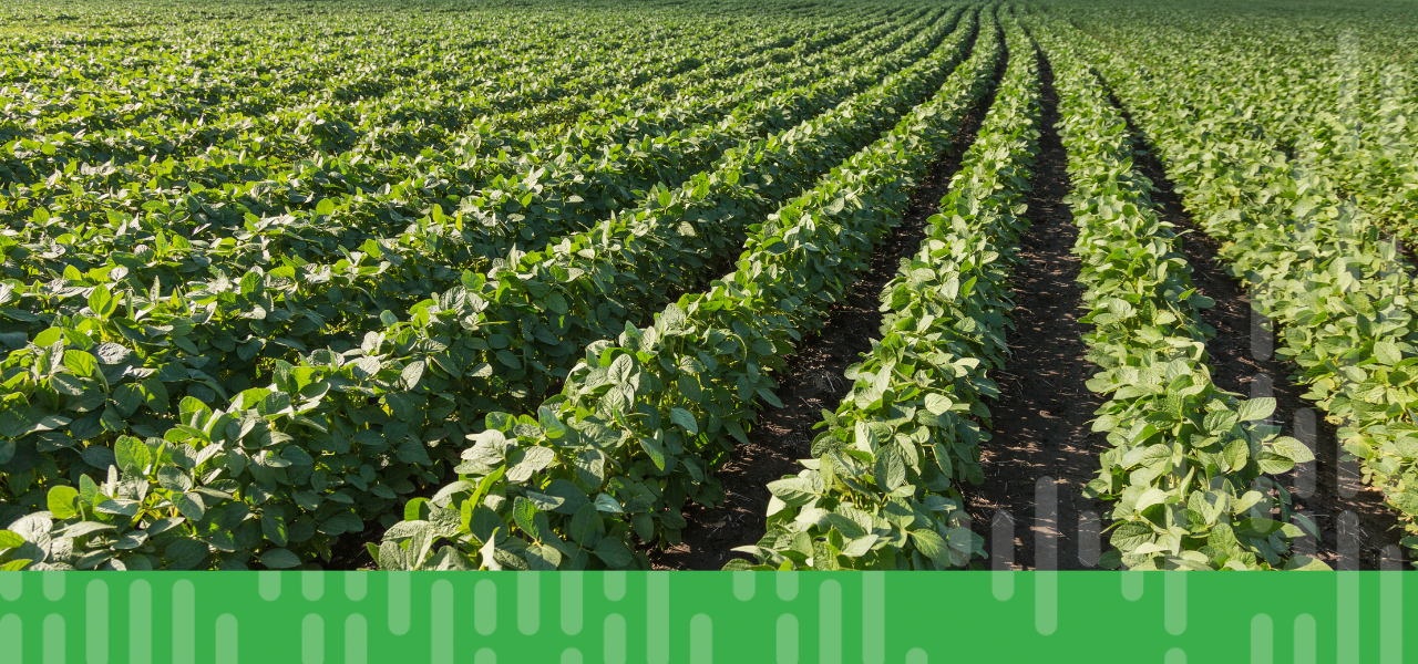 Inoculants 101: Everything Farmers Need to Know About Inoculants | FBN