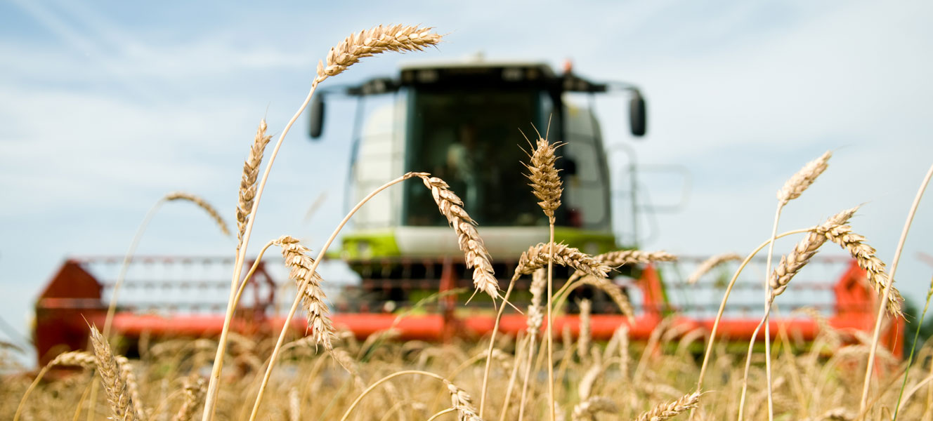 5 Things to Consider as Canadian Harvest Begins | FBN
