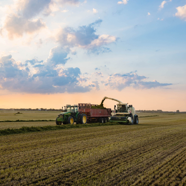 Renting vs. Buying Farmland: Which Is Right for You? | FBN