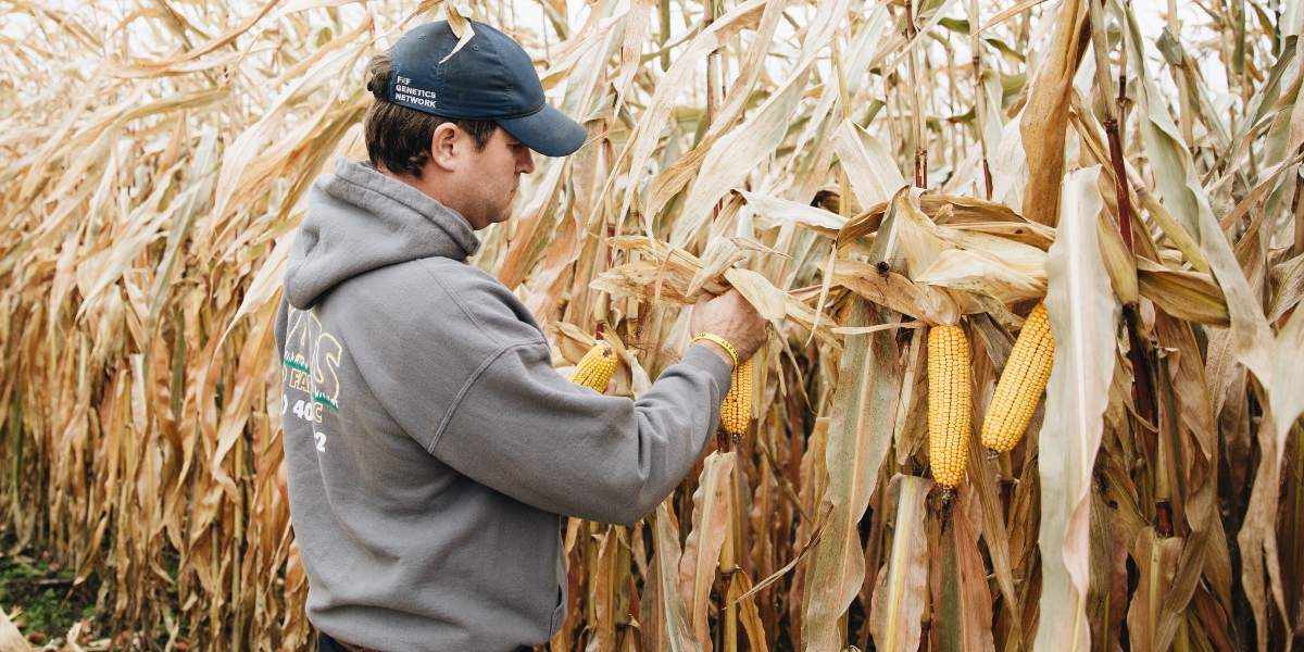 How the F2F Genetics Network® Planted the Seeds For Growth | FBN