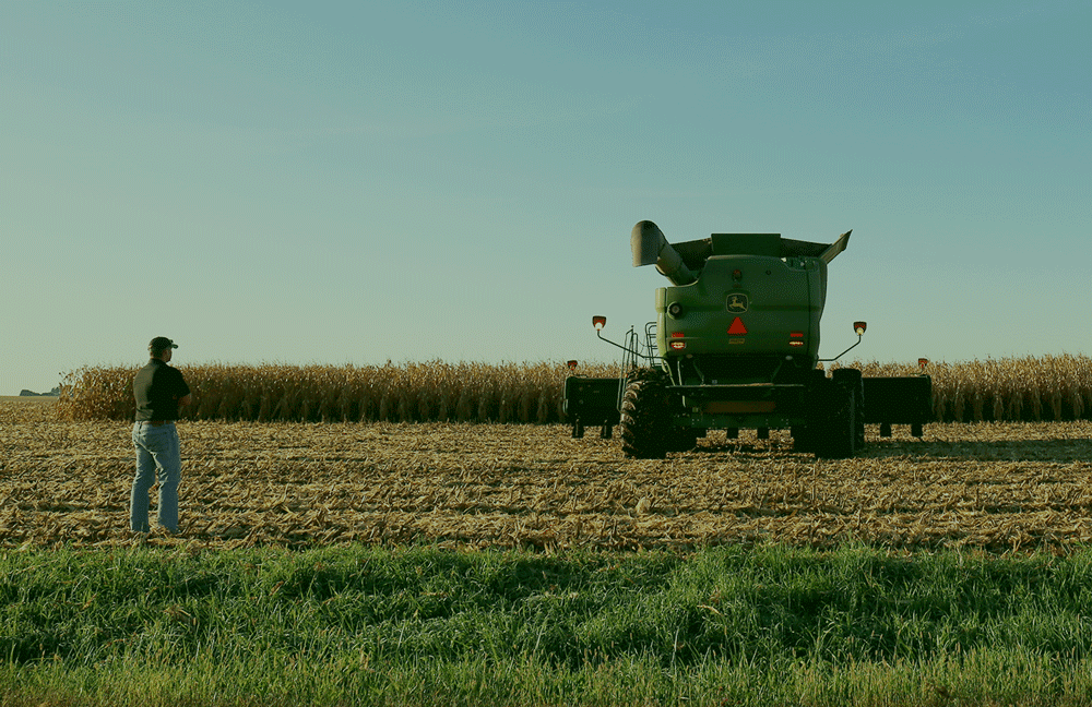 Which Seed is the Most Expensive in Your State? | FBN